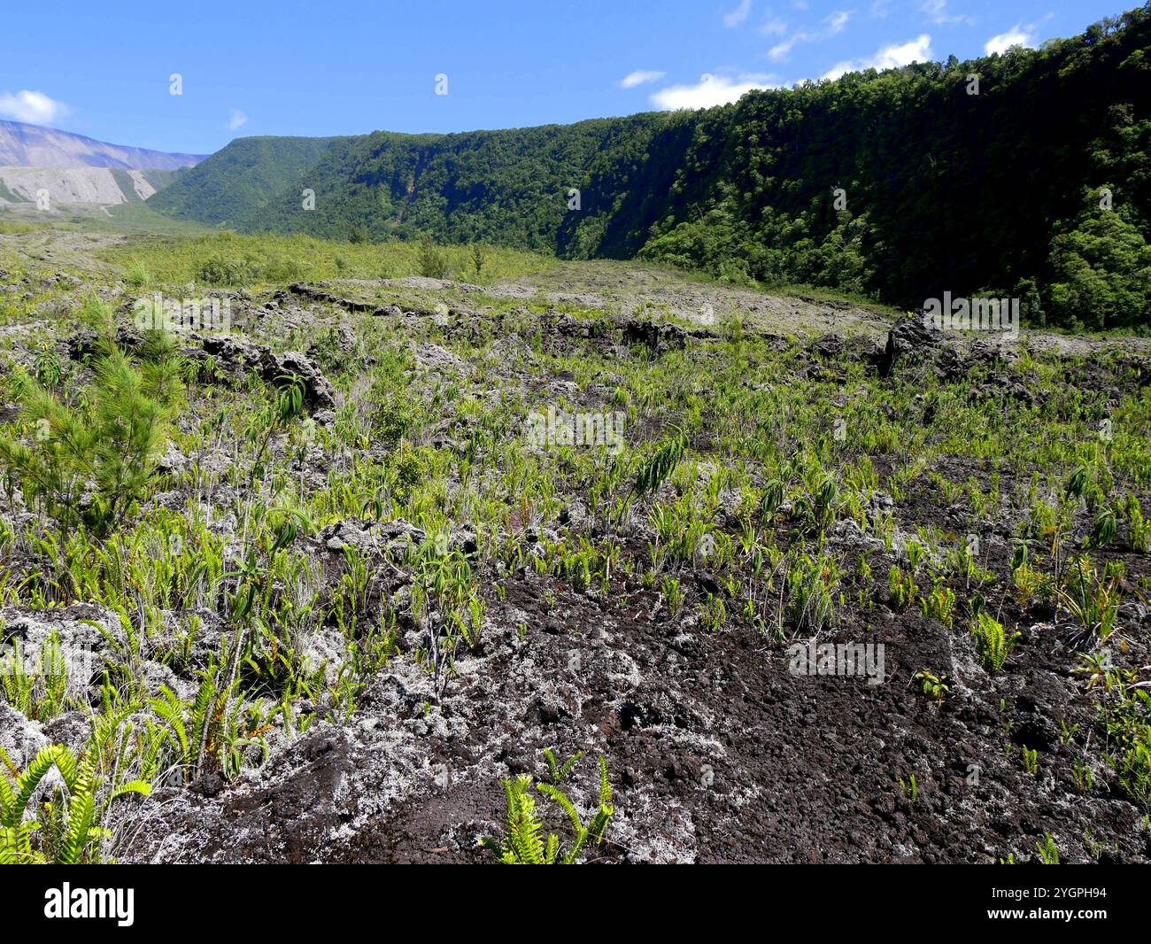 Recent lava flows of Piton de la Fournaise in Grand Brule, Reunion ...