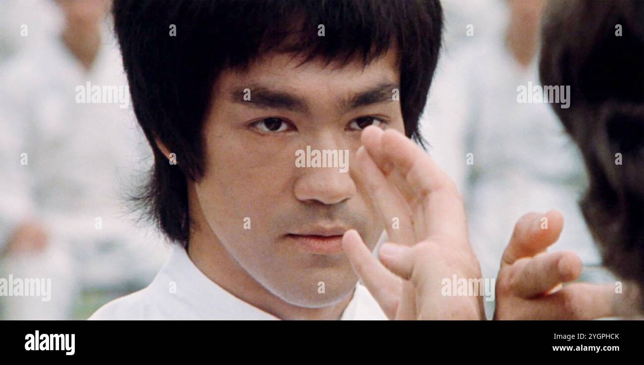 Kelly Dragon's Instagram, Twitter & Facebook on IDCrawl