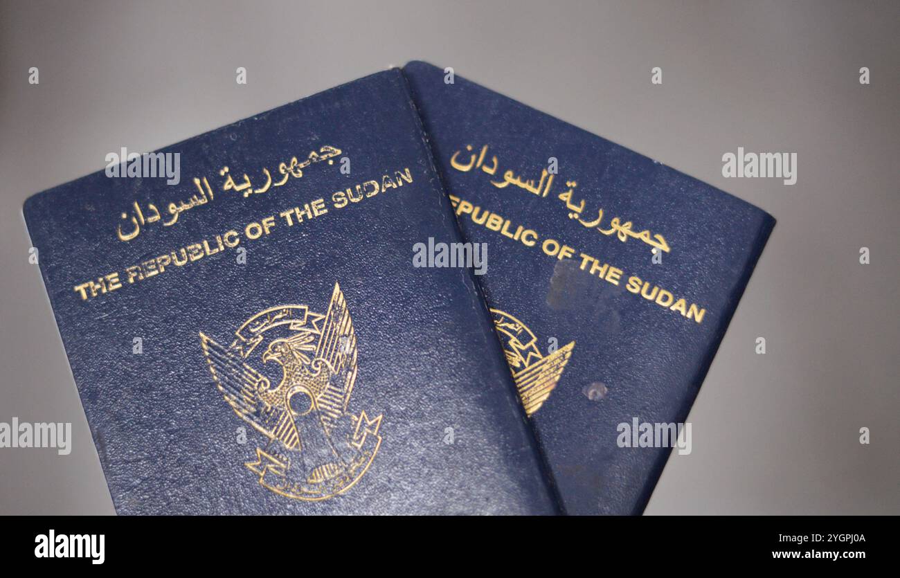 The Republic of Sudan passport with a gilded falcon in the center of ...