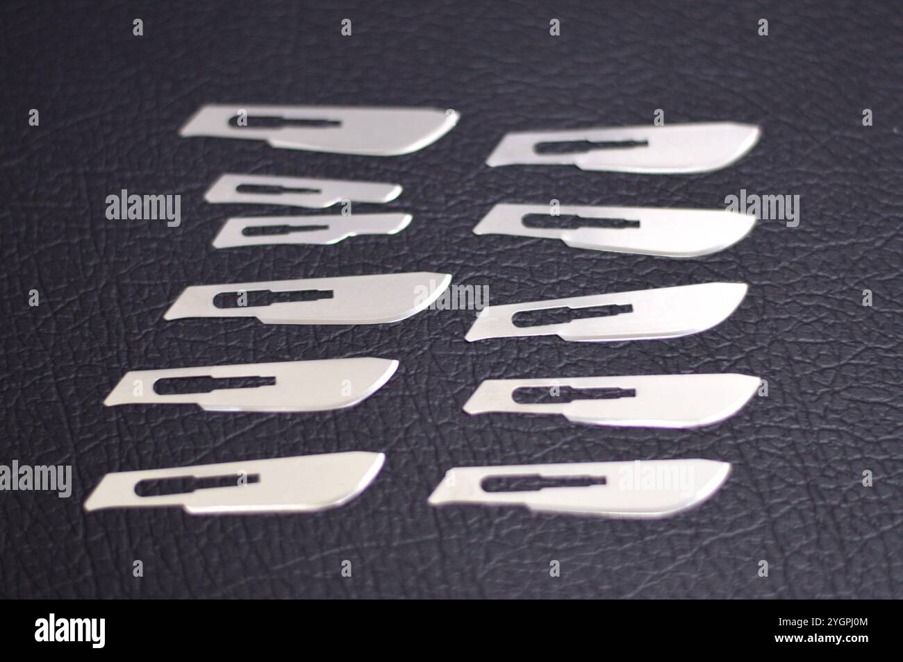 disposable scalpels, lancet or bistoury, a small and extremely sharp ...