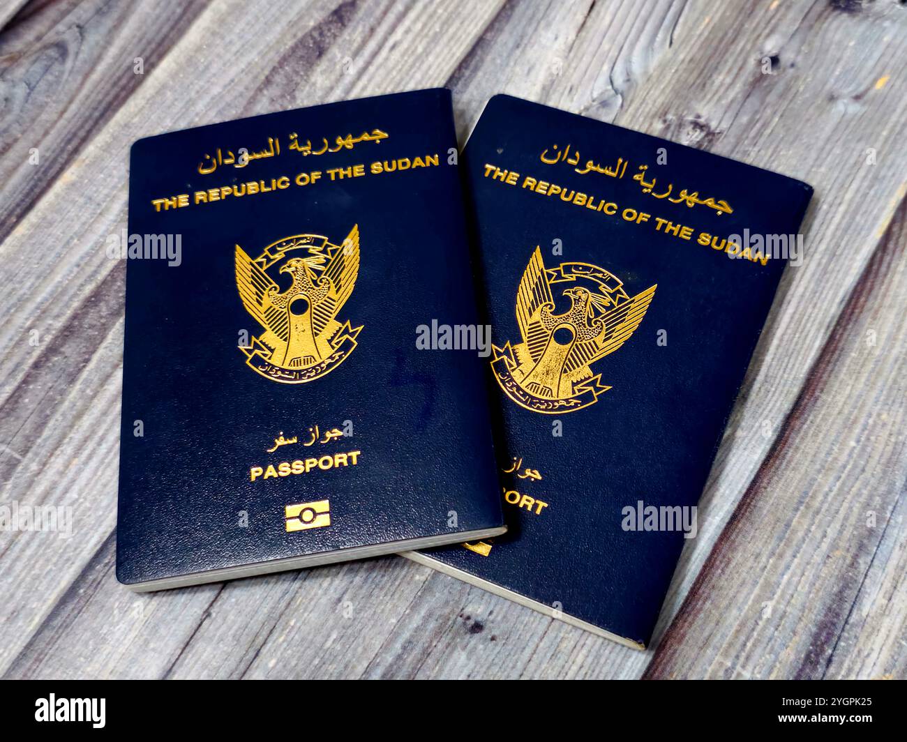 The Republic of Sudan passport with a gilded falcon in the center of ...
