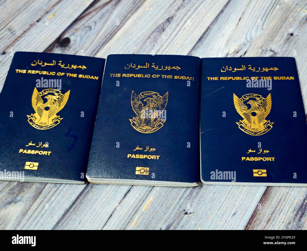 The Republic of Sudan passport with a gilded falcon in the center of ...