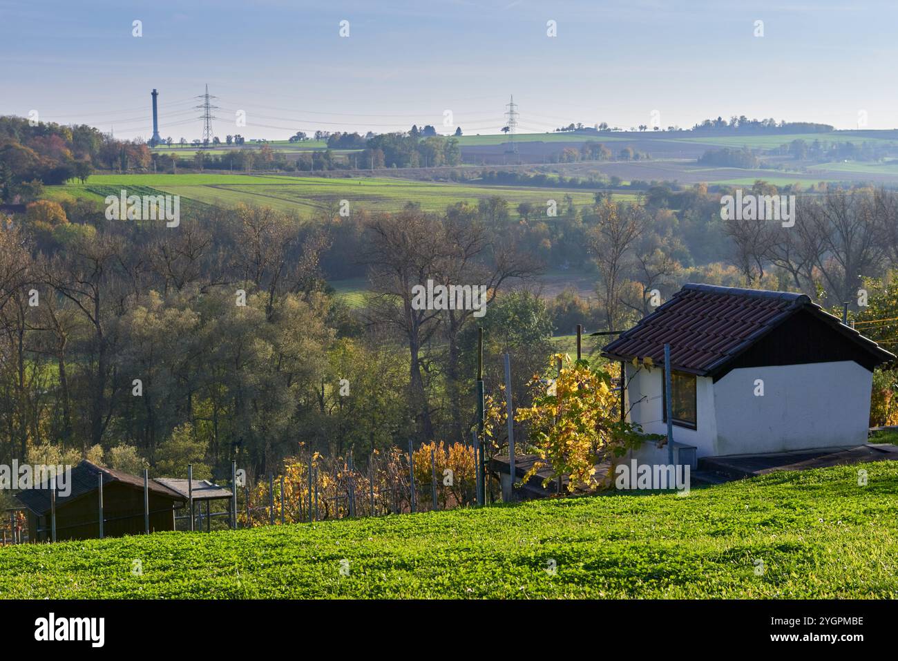 A Scenic and Picturesque Vineyard Landscape Featuring Quaint Houses ...