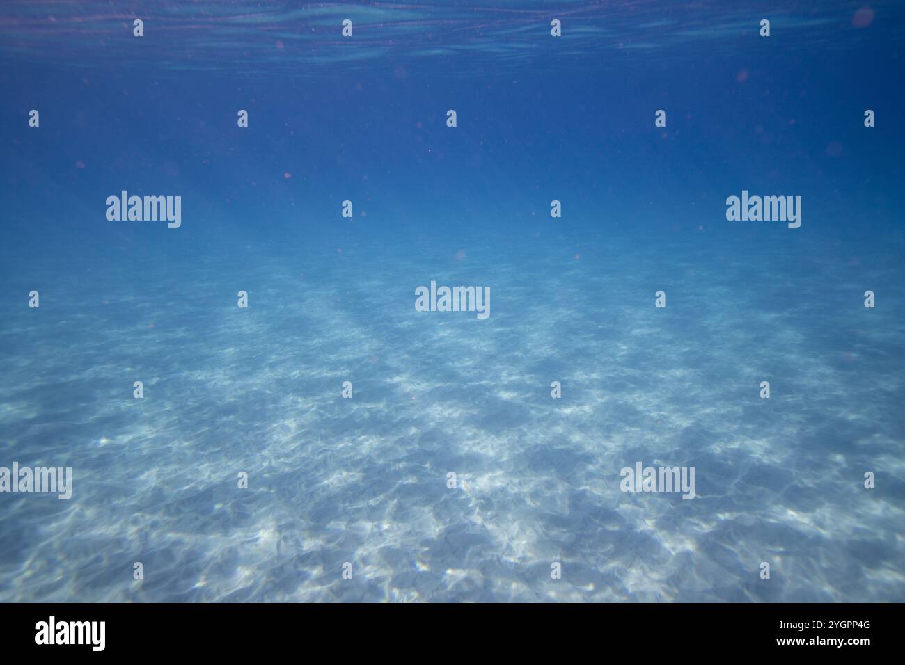 Stunning beach scene showcasing gentle hi-res stock photography and ...
