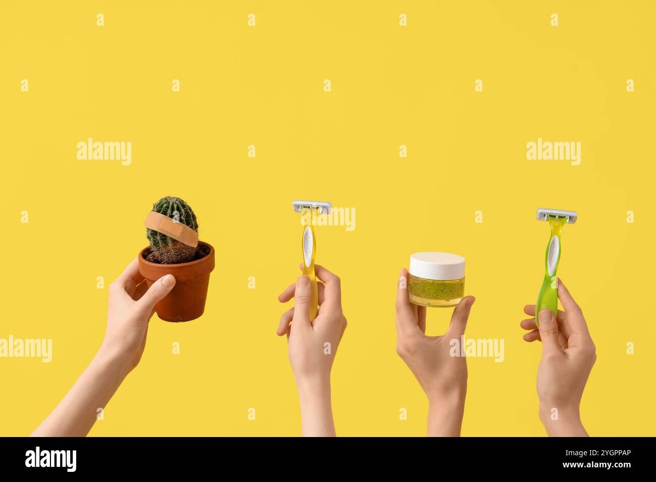 Female hands holding razors, cactus with medical plaster and jar of ...