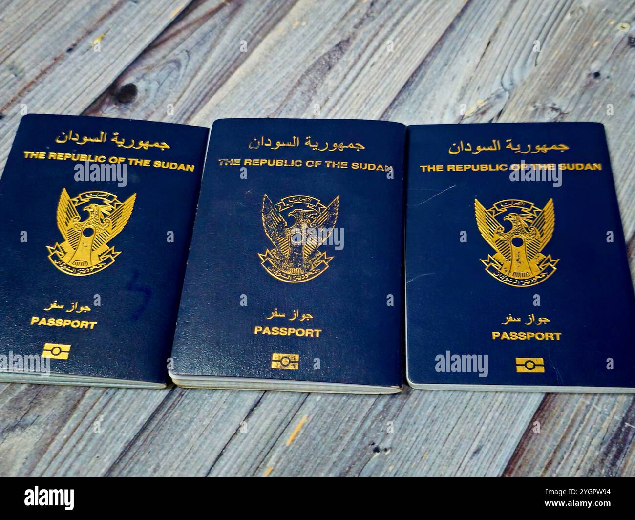 The Republic of Sudan passport with a gilded falcon in the center of ...