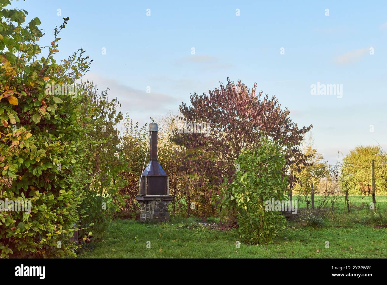 Autumn Landscape Featuring a Stone Barbecue Surrounded by Trees: A Cozy ...