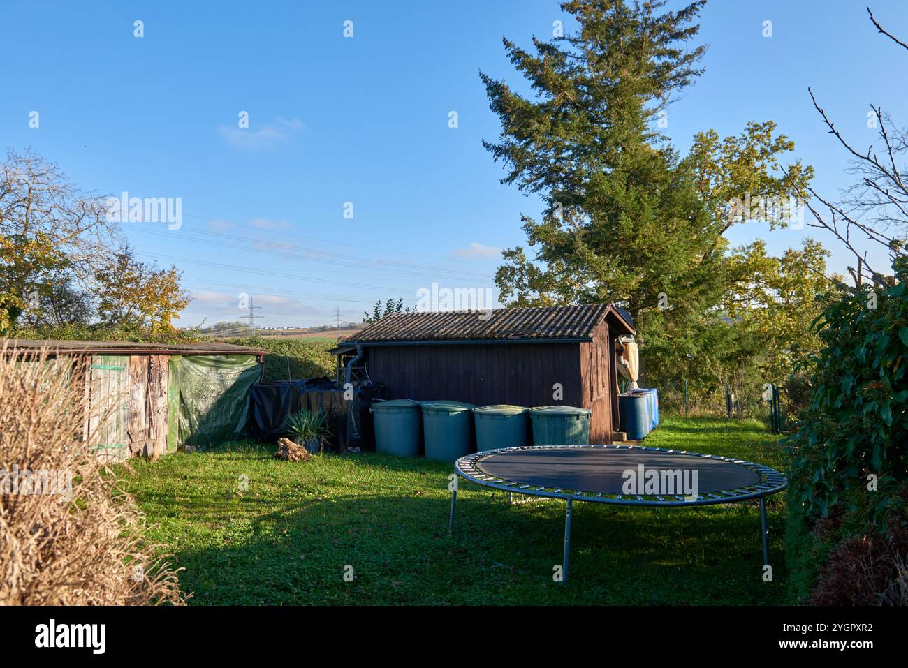 Charming Backyard Scene in Germany: A Wide Shot Featuring a Trampoline ...
