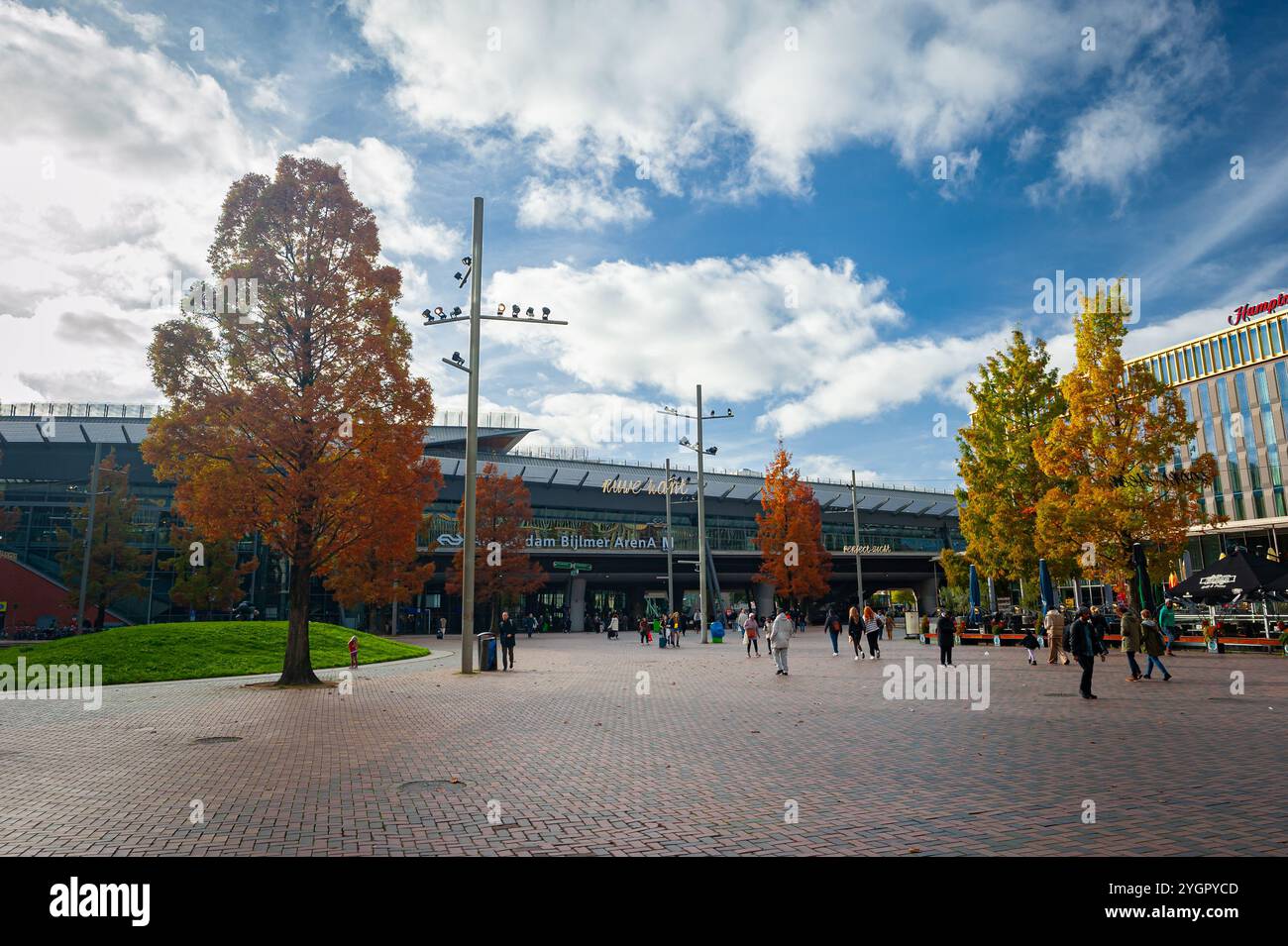 Modern town square with large dawn redwood trees in fall colors at ...