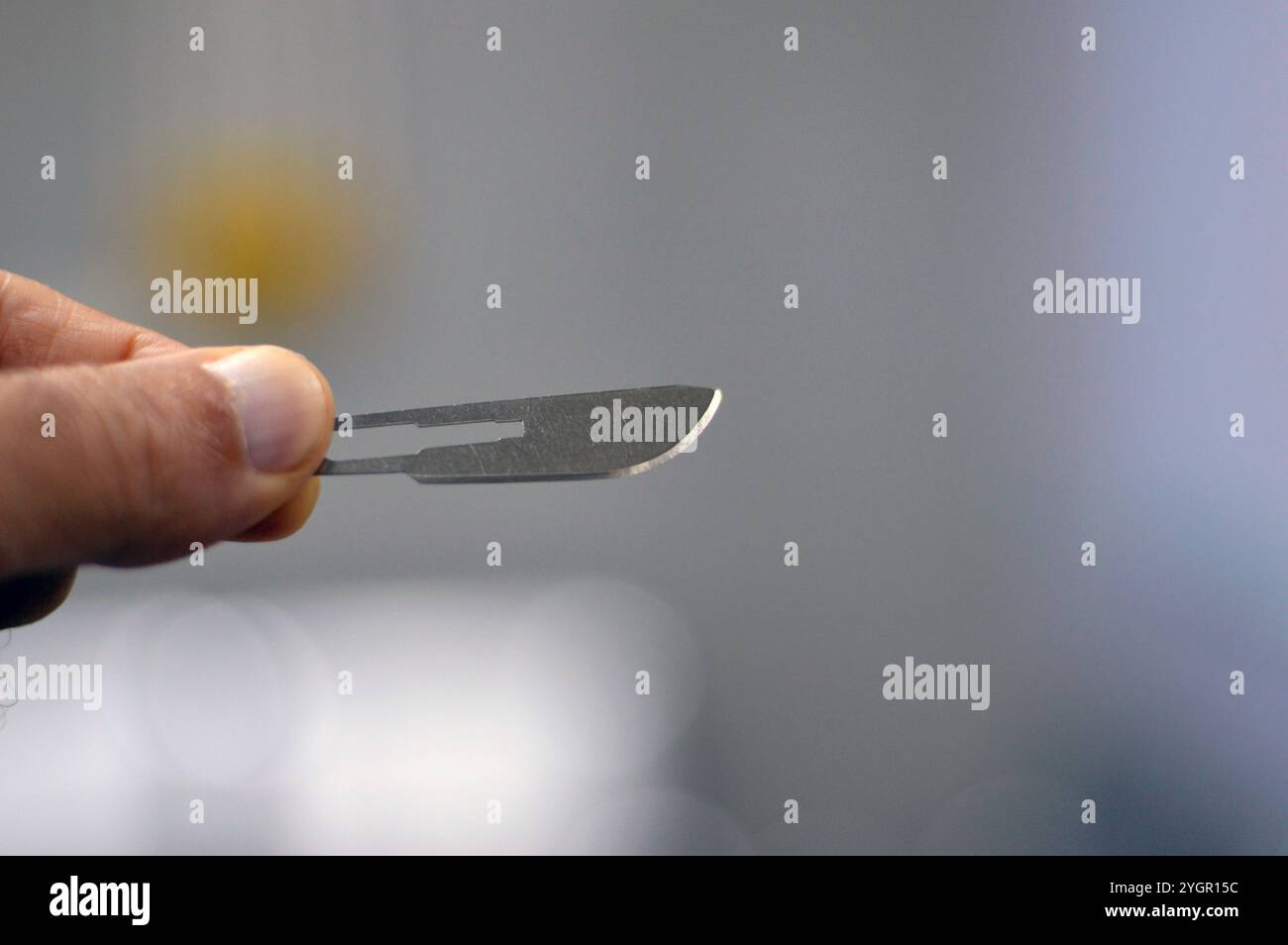 disposable scalpels, lancet or bistoury, a small and extremely sharp ...