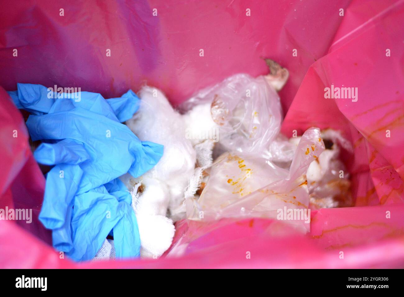 Biohazardous medical waste placed inside red bag for disposal, used ...