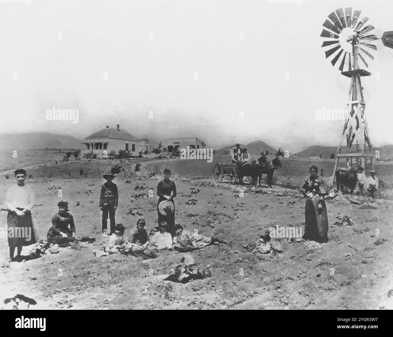 Ranch buggy Black and White Stock Photos & Images - Alamy