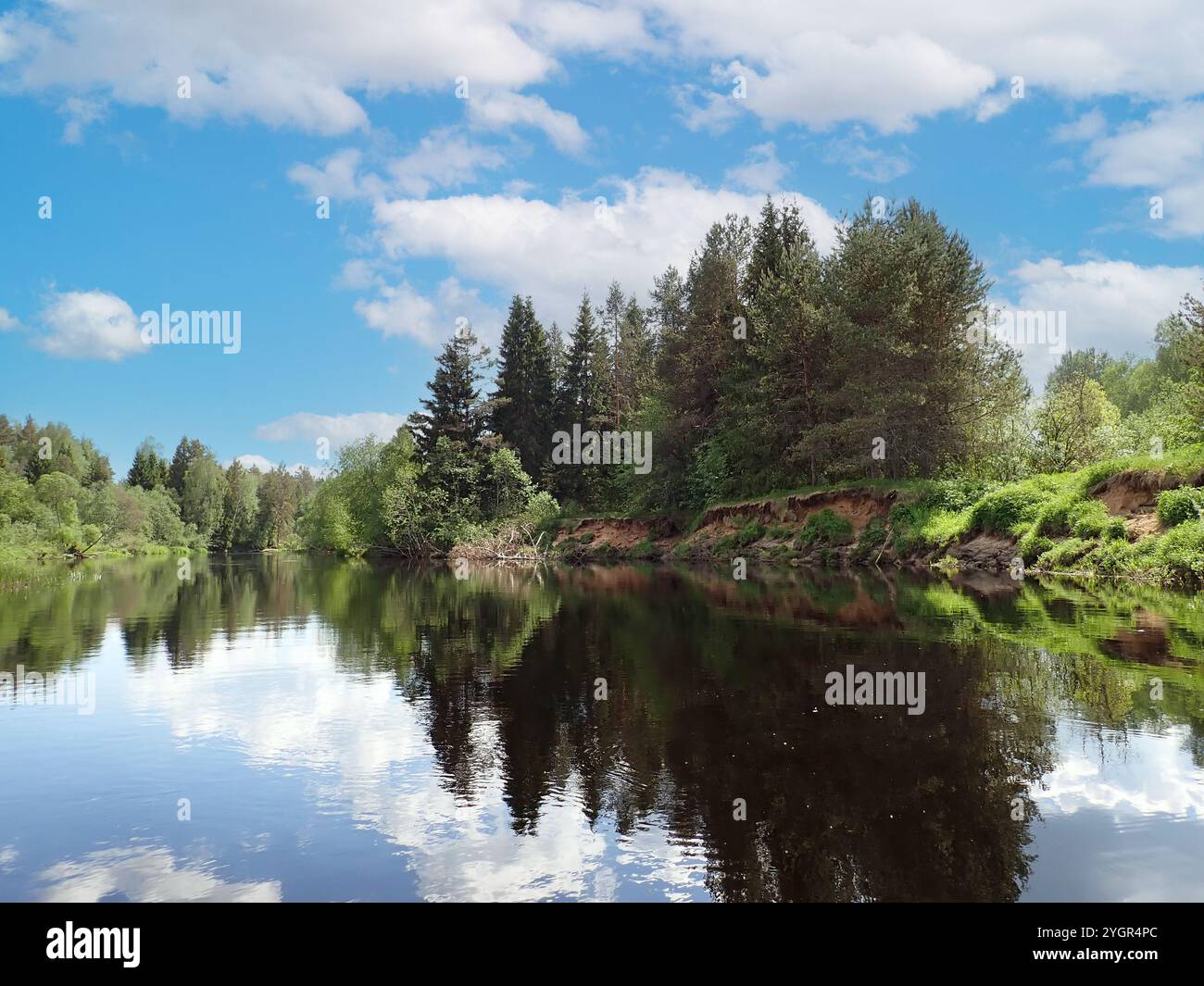 Exploring the Remote Beauty of the Upper Volga River in Russia Stock ...