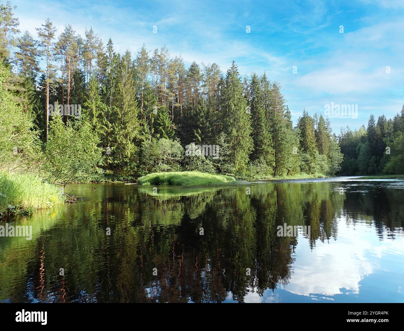 Exploring the Remote Beauty of the Upper Volga River in Russia Stock ...