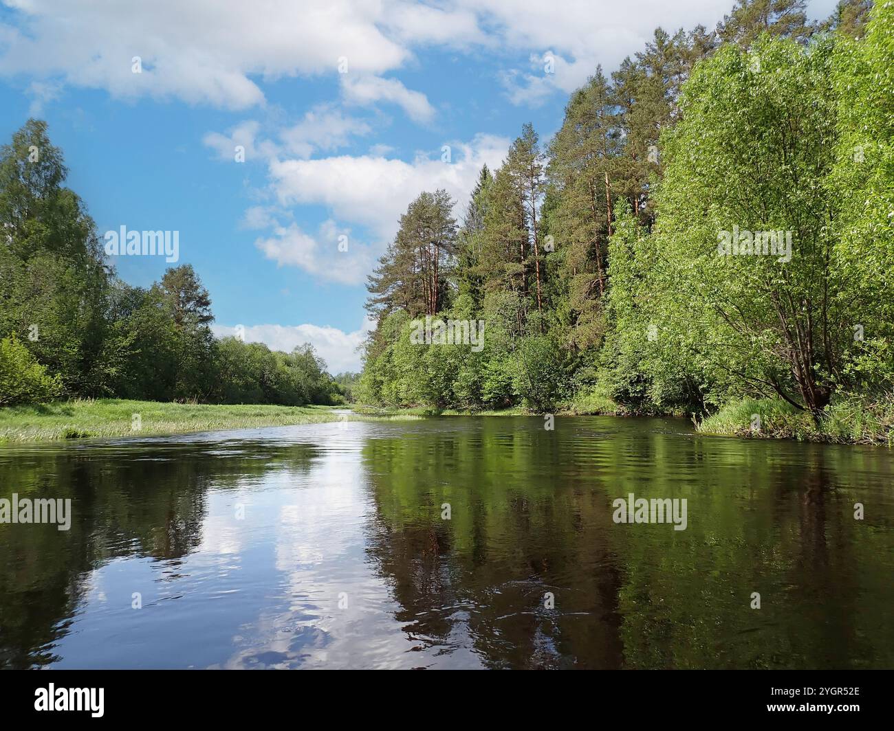 Exploring the Remote Beauty of the Upper Volga River in Russia Stock ...