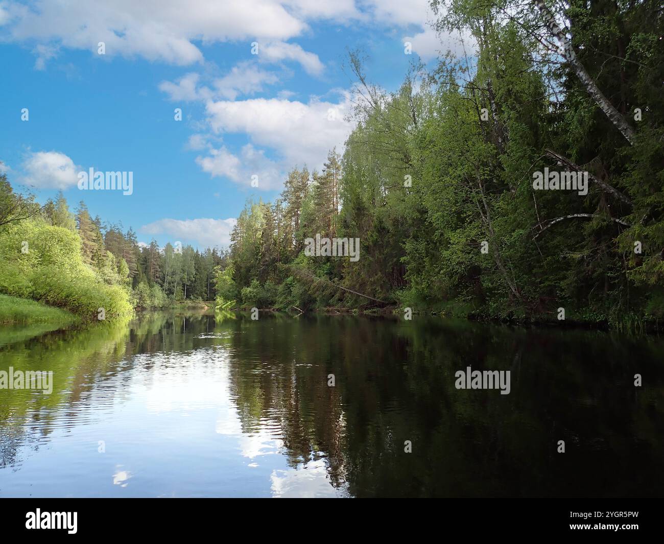 Exploring the Remote Beauty of the Upper Volga River in Russia Stock ...