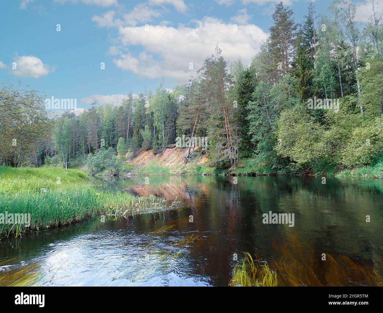 Exploring the Remote Beauty of the Upper Volga River in Russia Stock ...