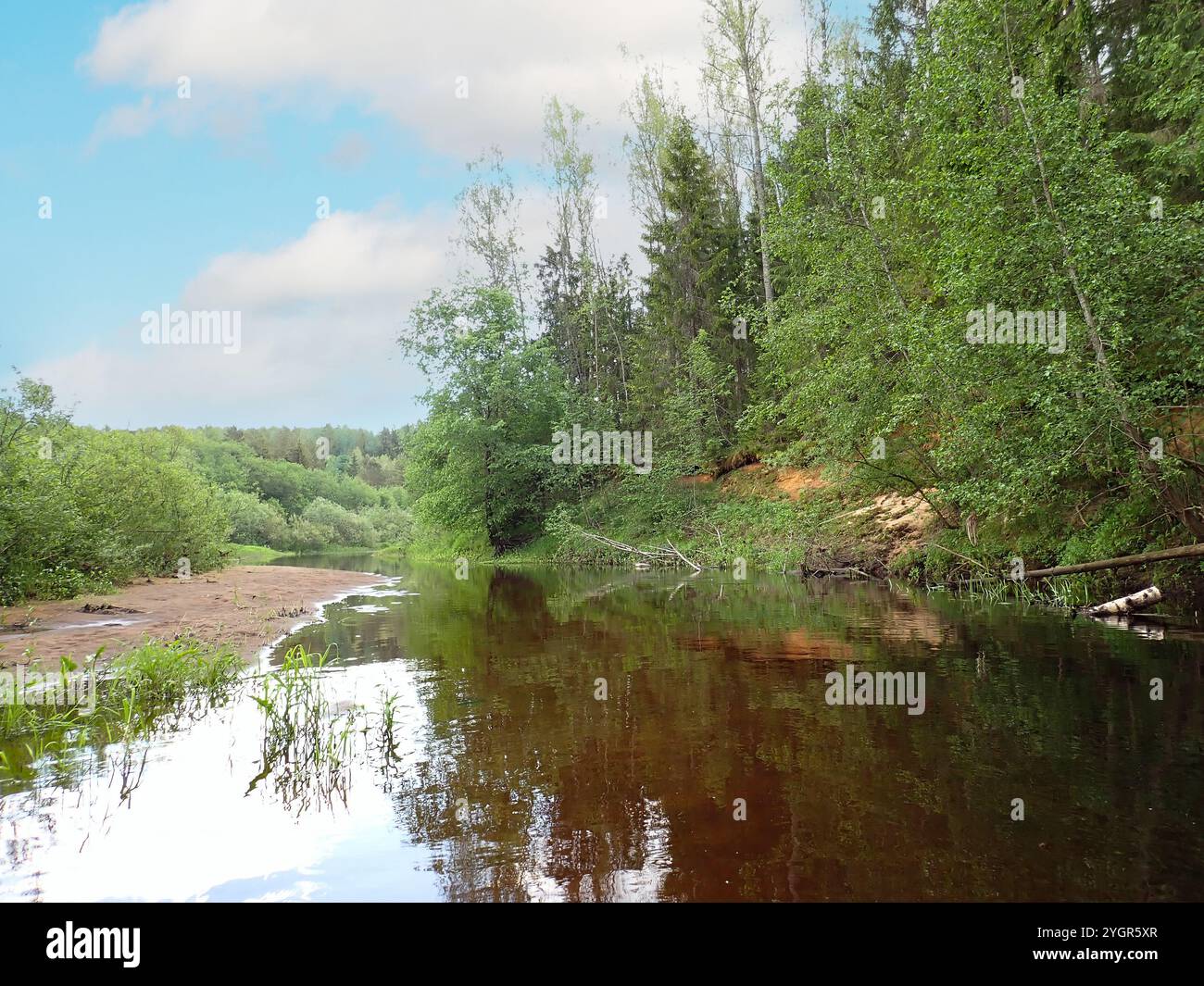 Exploring the Remote Beauty of the Upper Volga River in Russia Stock ...