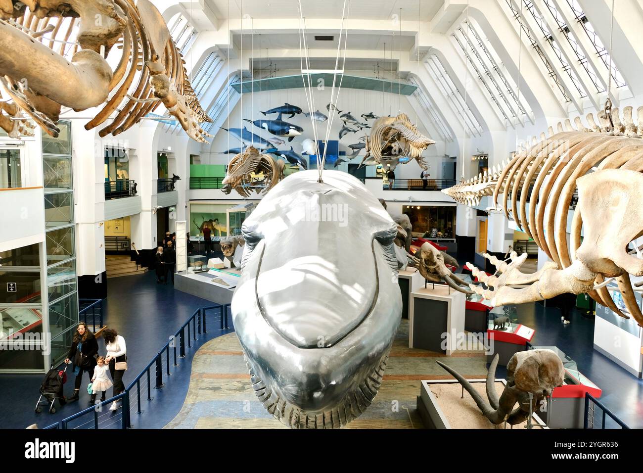 Marine life exhibit hi-res stock photography and images - Alamy