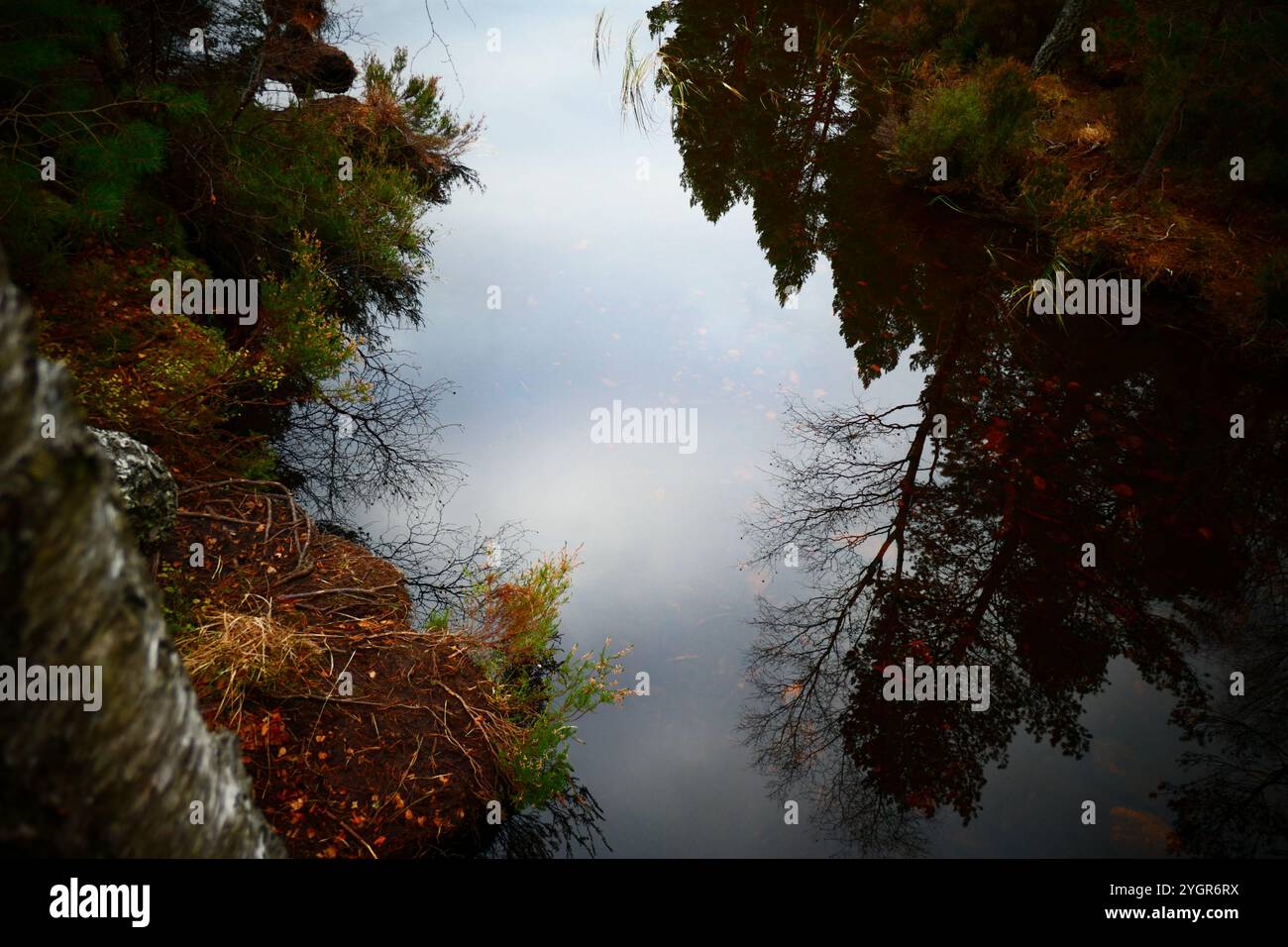 A walk at the boarders of Loch an Eilean in Scotland at Rothiemurchus ...