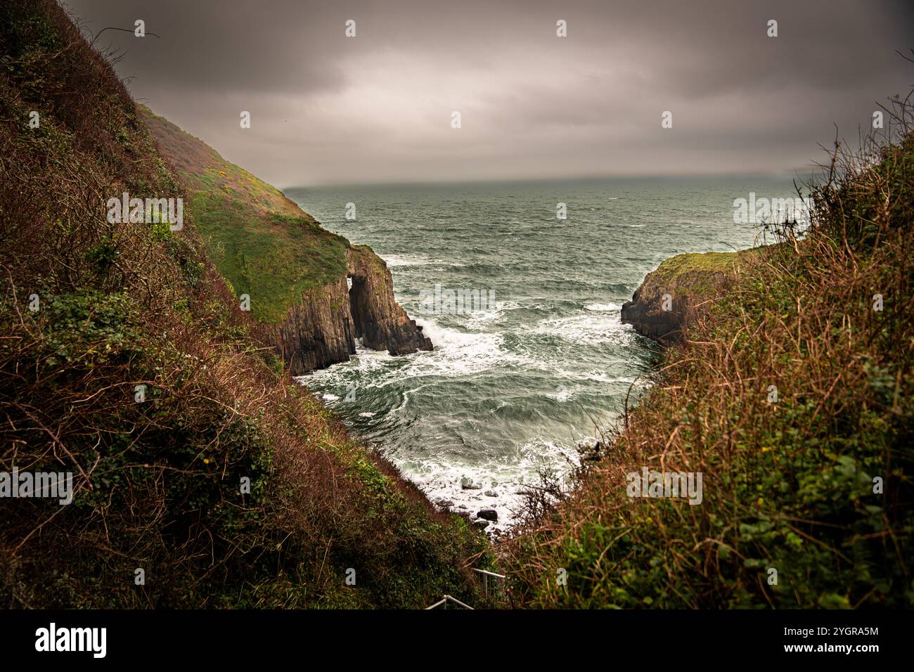 Coastal cliffs with vegetation frame a turbulent ocean scene under a ...