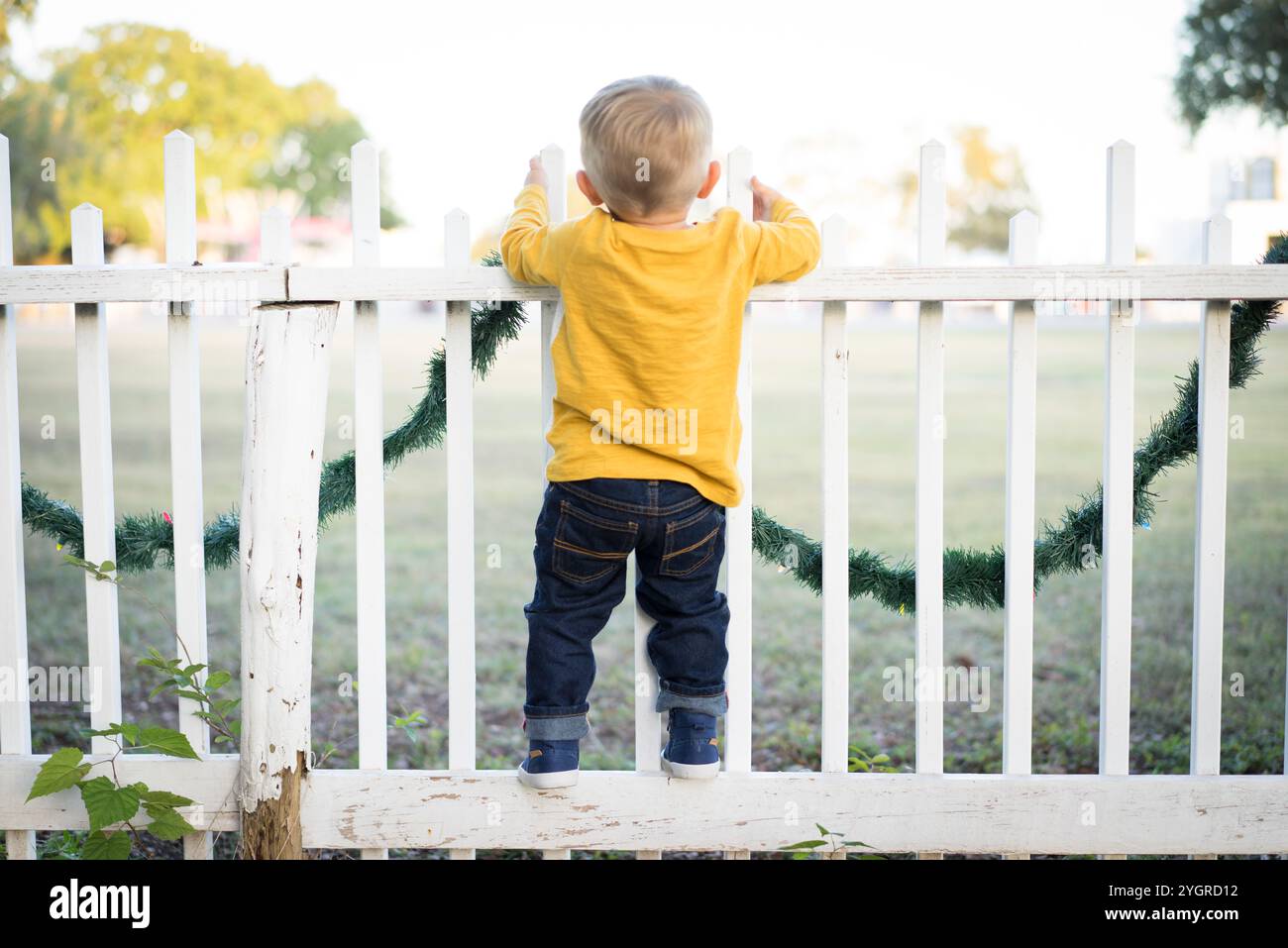 Curious Child Looking Over Fence Decorated for Christmas Stock Photo ...