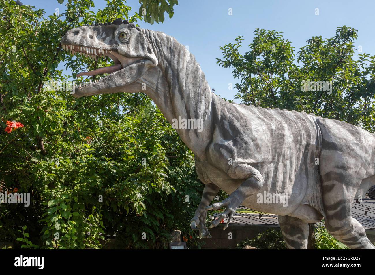 Vernal, Utah - The Utah Field House of Natural History State Park ...