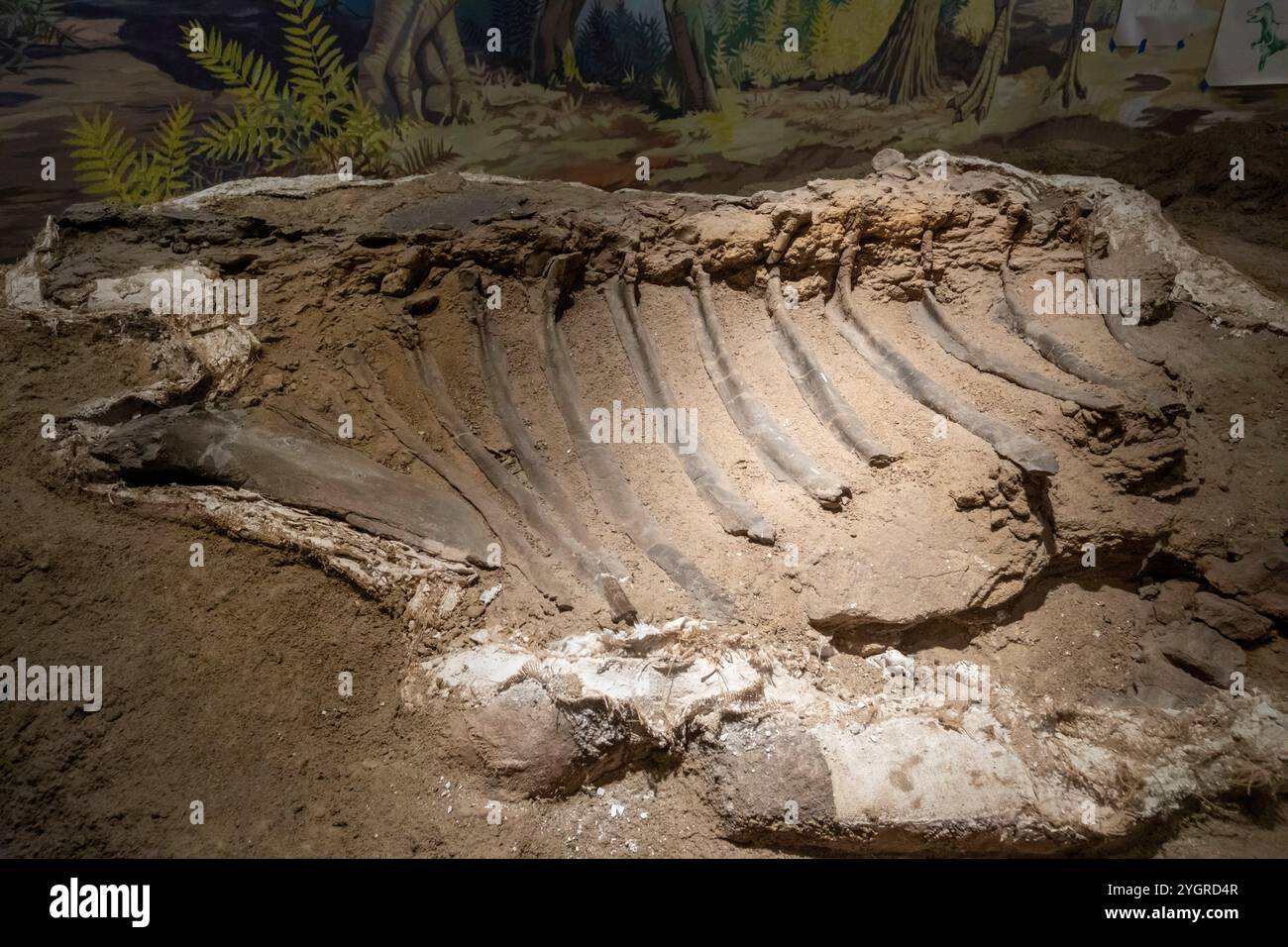 Vernal, Utah - The Utah Field House of Natural History State Park ...