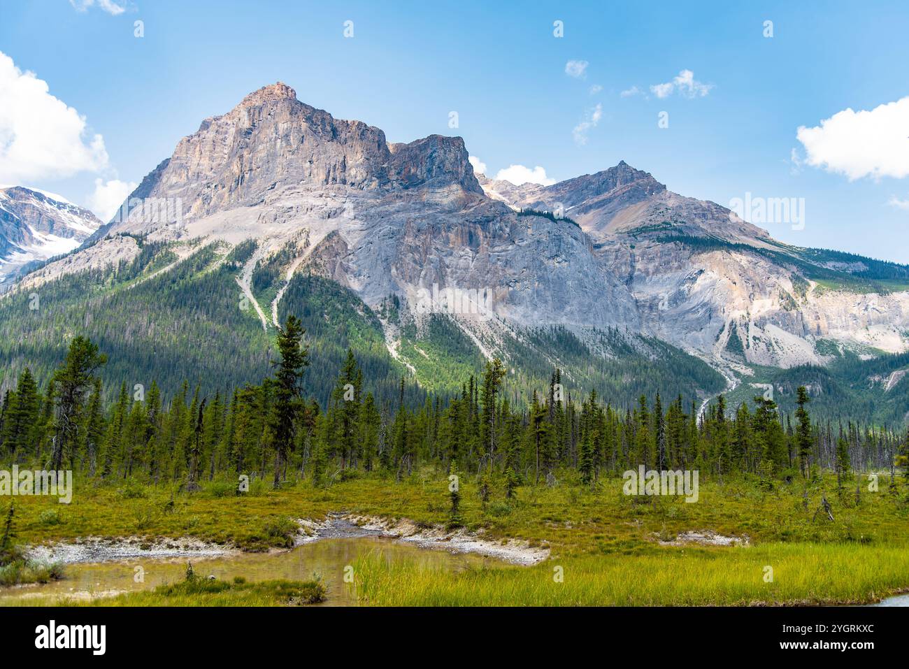 Snow mountain in Banff Stock Photo - Alamy