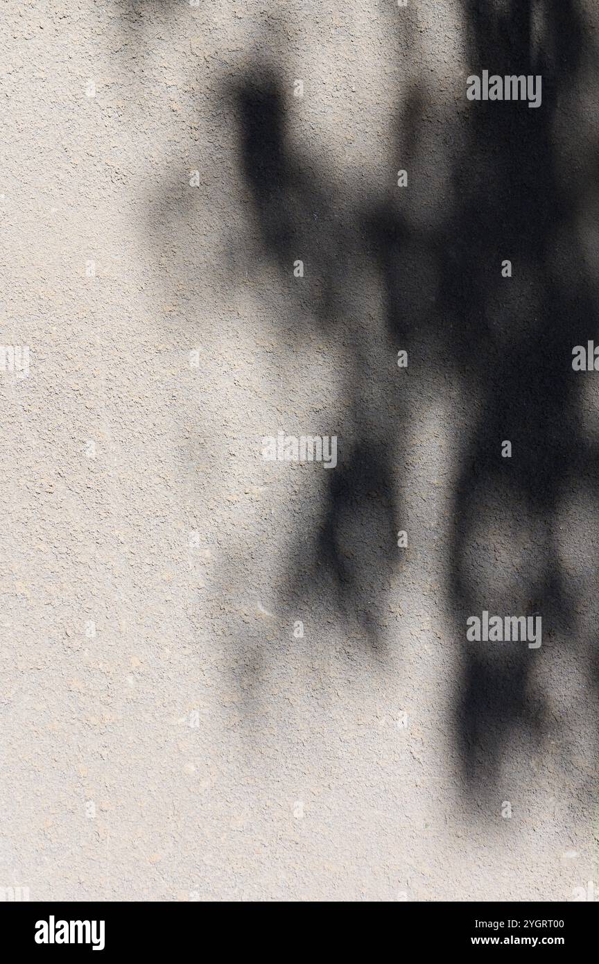 Intricate dance of natural forms hi-res stock photography and images ...