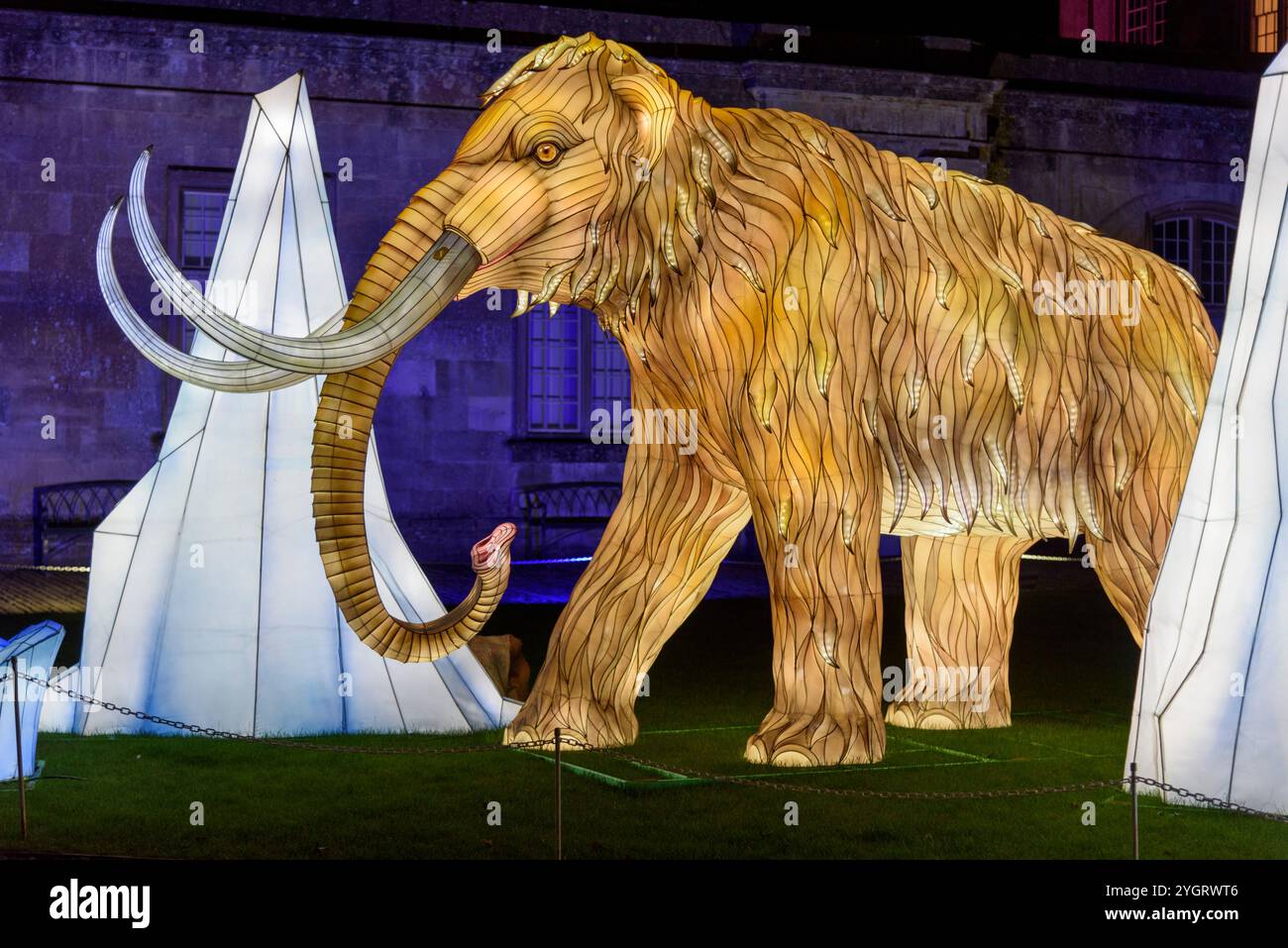Celebration on november 9th hi-res stock photography and images - Alamy