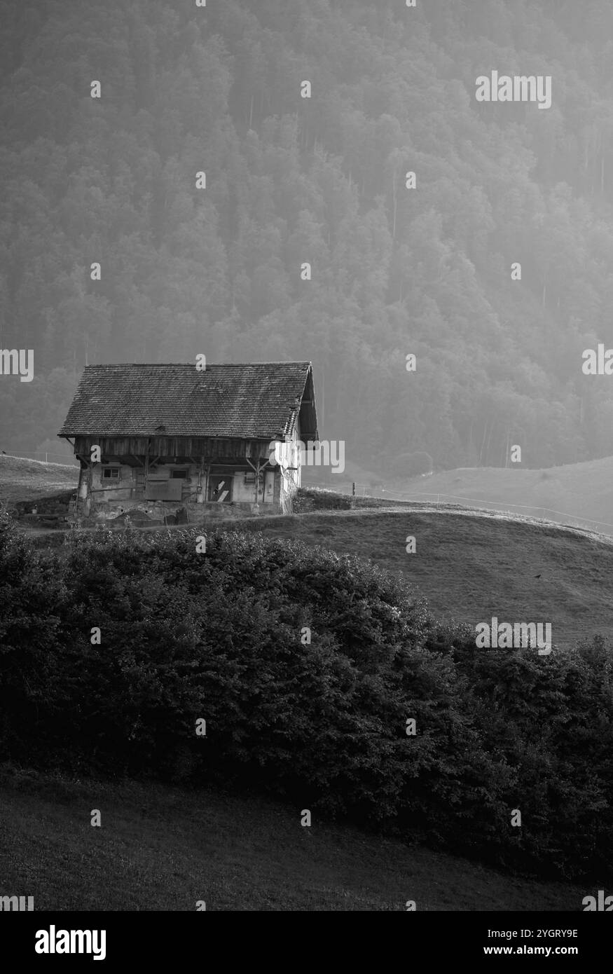 Alps house in mountains. Mountain green field alpine Mountains ...