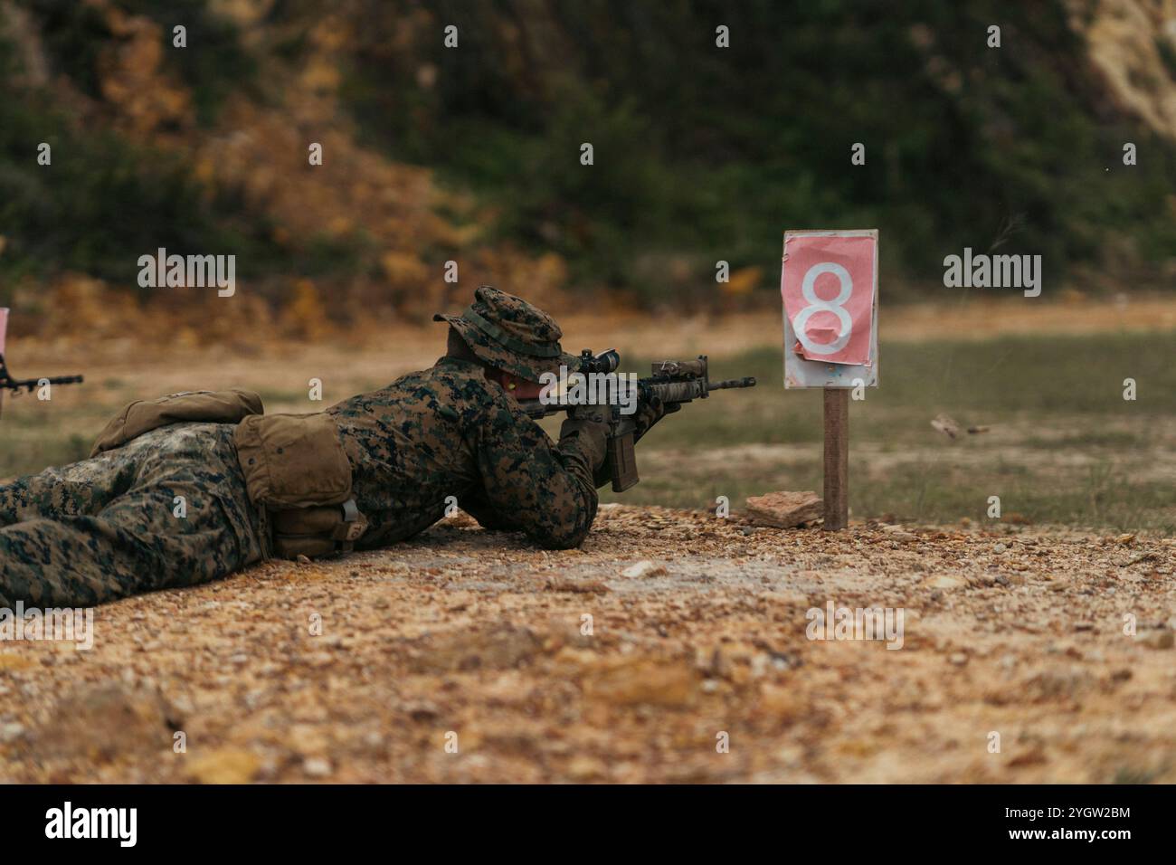 A U.S. Marine with 2nd Battalion, 7th Marine Regiment, attached to ...