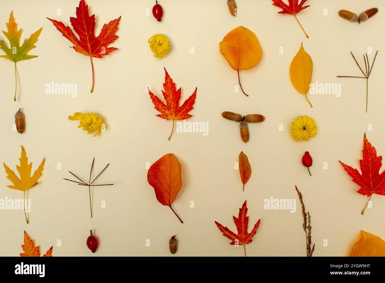 Creative autumn layout made with yellow fallen laeves and nuts. Minimal ...