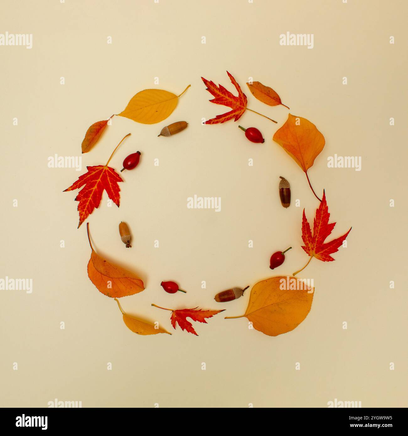 Creative autumn layout made with yellow fallen laeves and nuts. Minimal ...