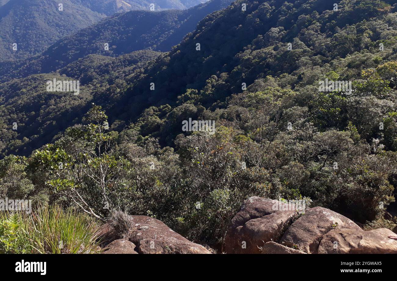 Reserva biologica do tingua hi-res stock photography and images - Alamy