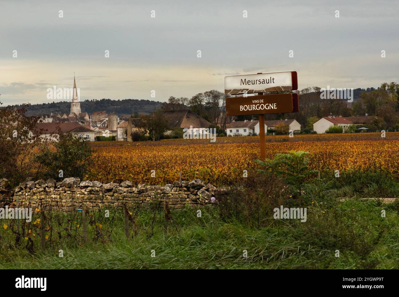 Meursault, Cote d'Or, Burgundy, France - October 26th 2024 - Looking ...