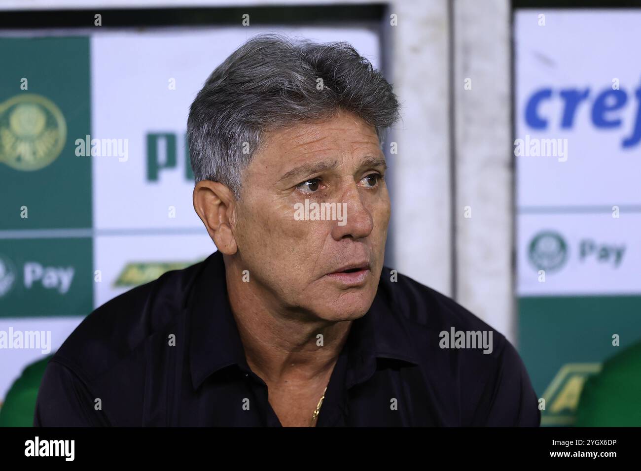 Sao Paulo, Brazil. 08th Nov, 2024. SP - SAO PAULO - 11/08/2024 - BRAZILIAN A 2024, PALMEIRAS x ...