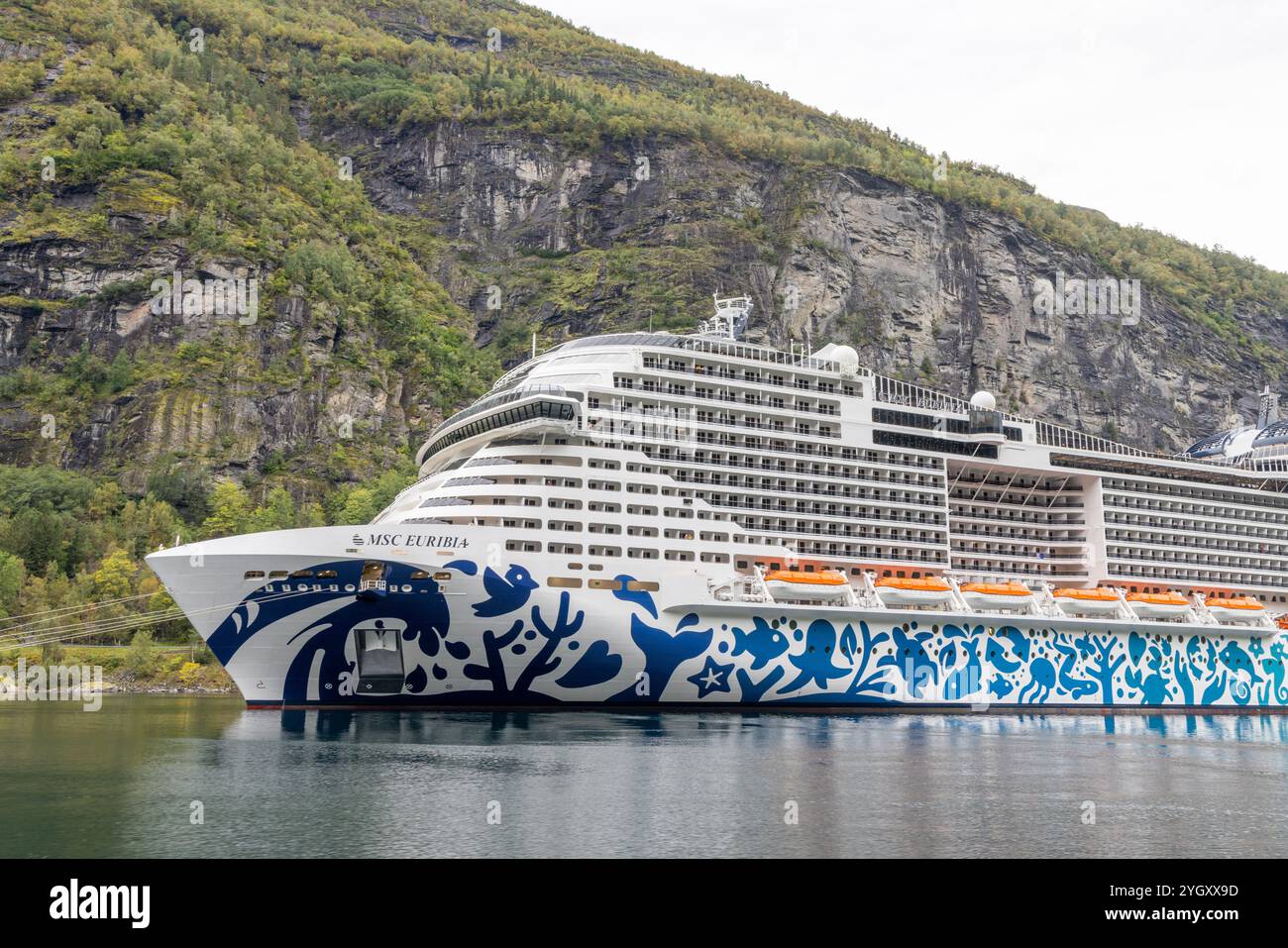 MSC Euribia cruise ship in port at the norwegian village of Geiranger ...