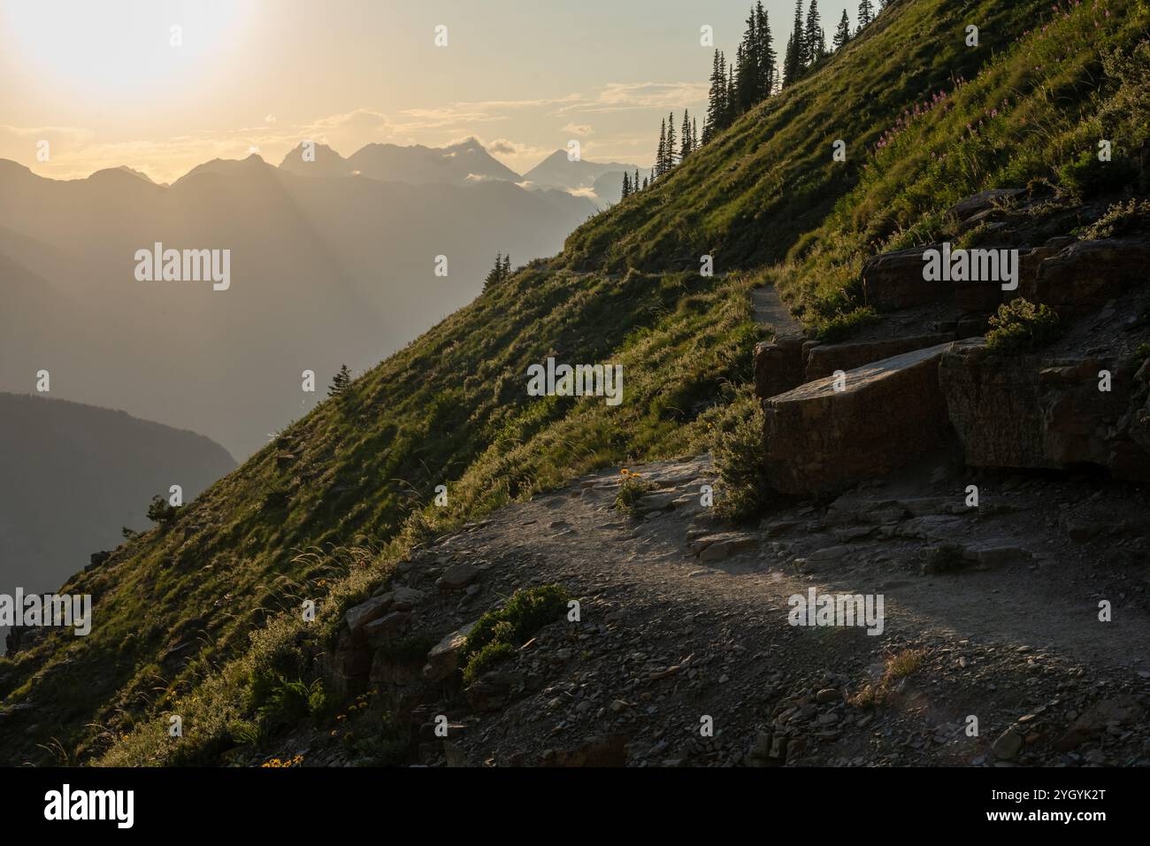 Highline Trail Curves Around Slab Of Fallen Rock in Glacier National ...