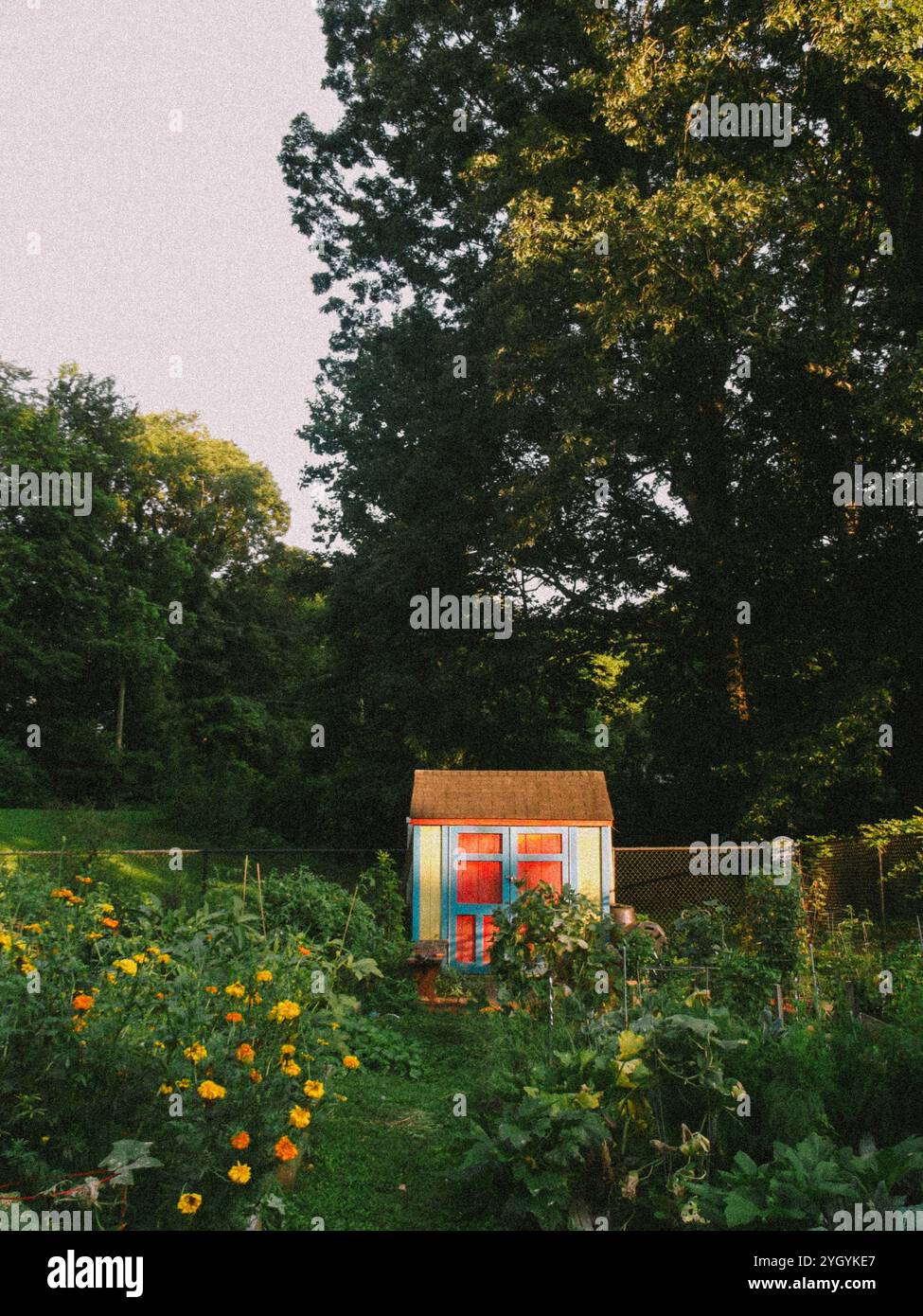 Beautiful Spring Garden in Public Park with Colorful Shed Stock Photo ...