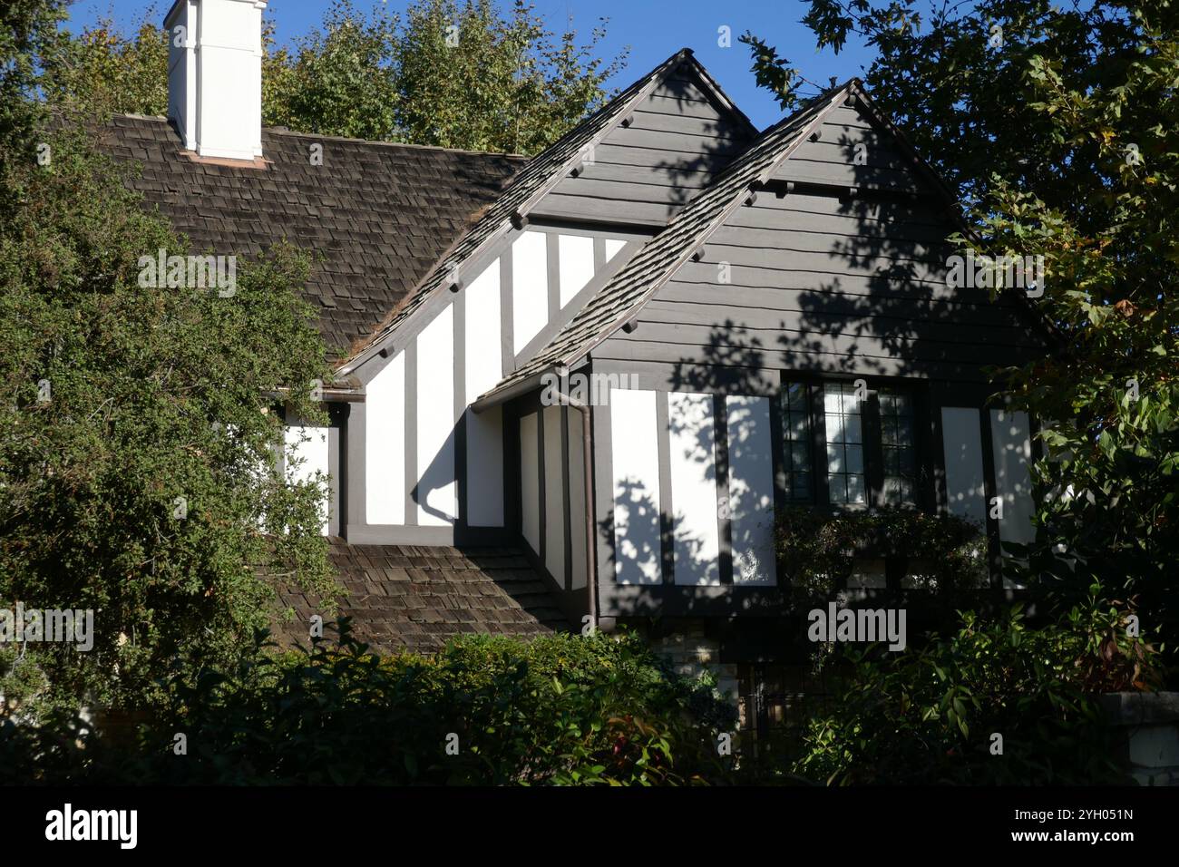 Beverly Hills, California, USA 8th November 2024 Actor/Director Ray ...