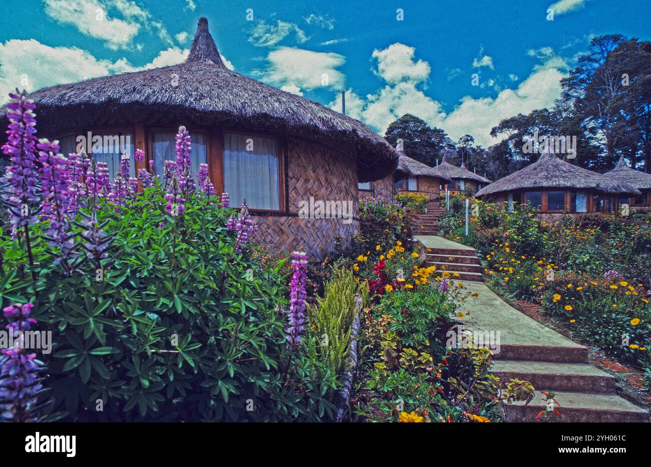 Round thatched luxury tourist accommodation at Ambus Lodge near Tari in the Southern Highlands ...