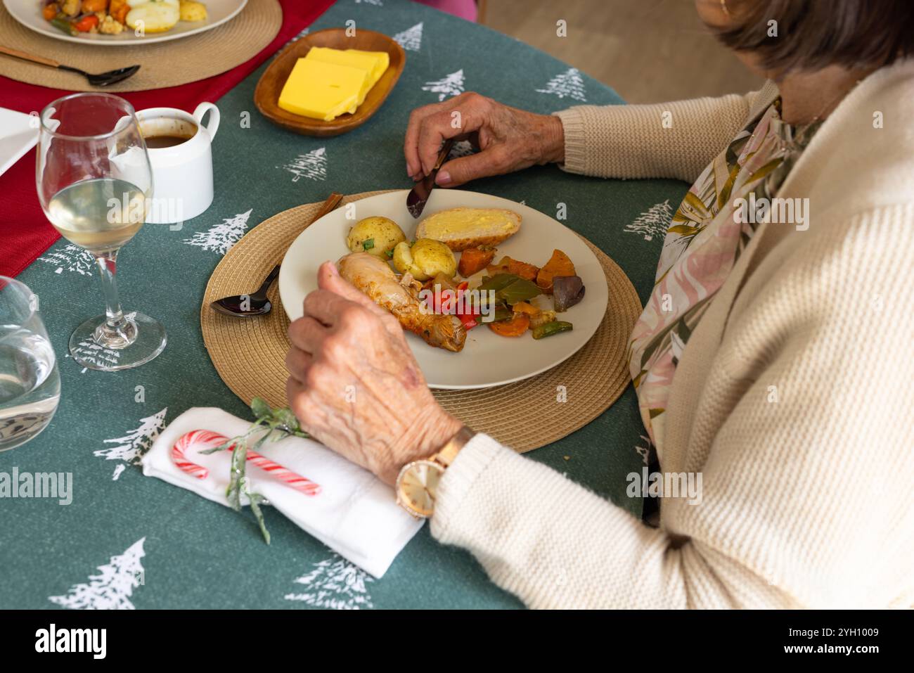 Christmas time, Enjoying festive holiday meal at home, senior woman ...