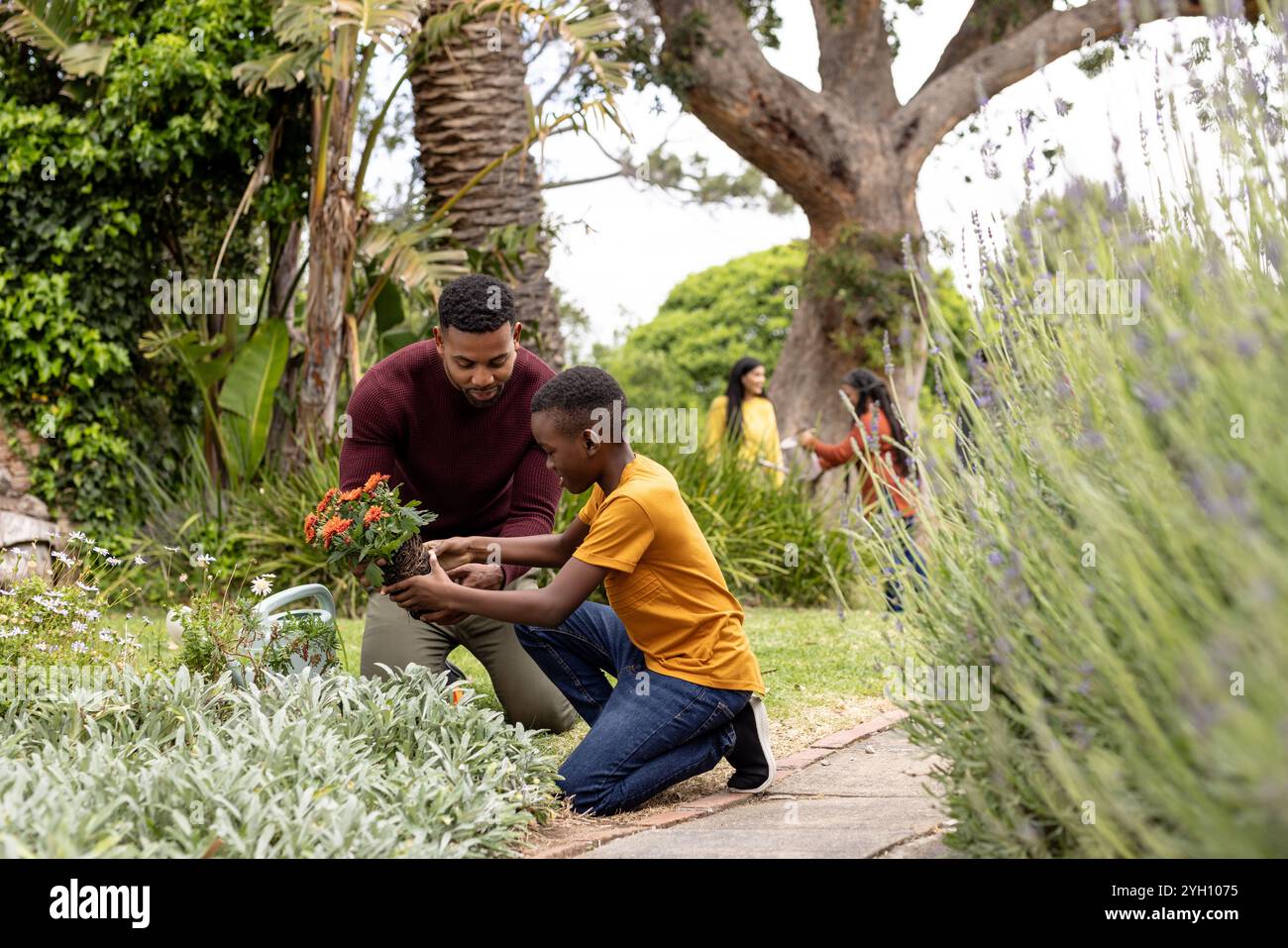 Father and son planting flowers together in garden, enjoying ...
