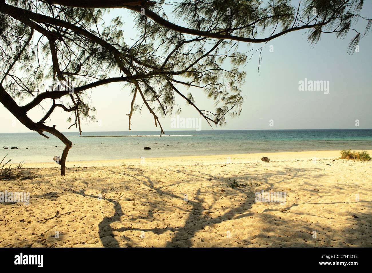 Sandy beach scenery hi-res stock photography and images - Alamy
