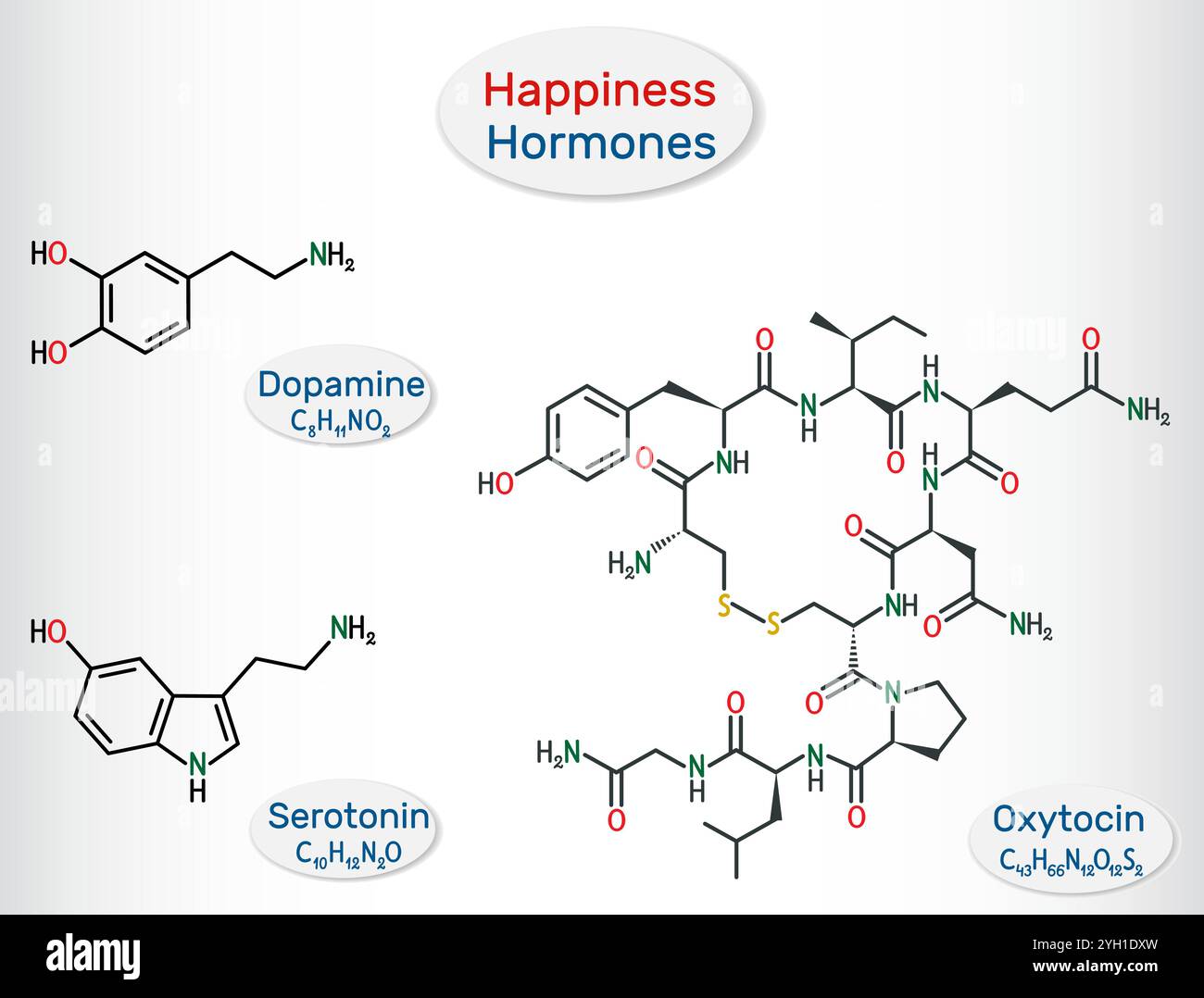 Happiness hormones. Serotonin, dopamine, oxytocin molecules. Vector ...