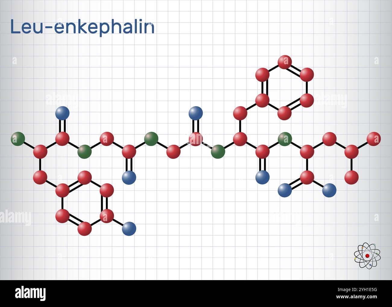 Leu-enkephalin molecule. Endogenous opioid peptide. Molecule model ...