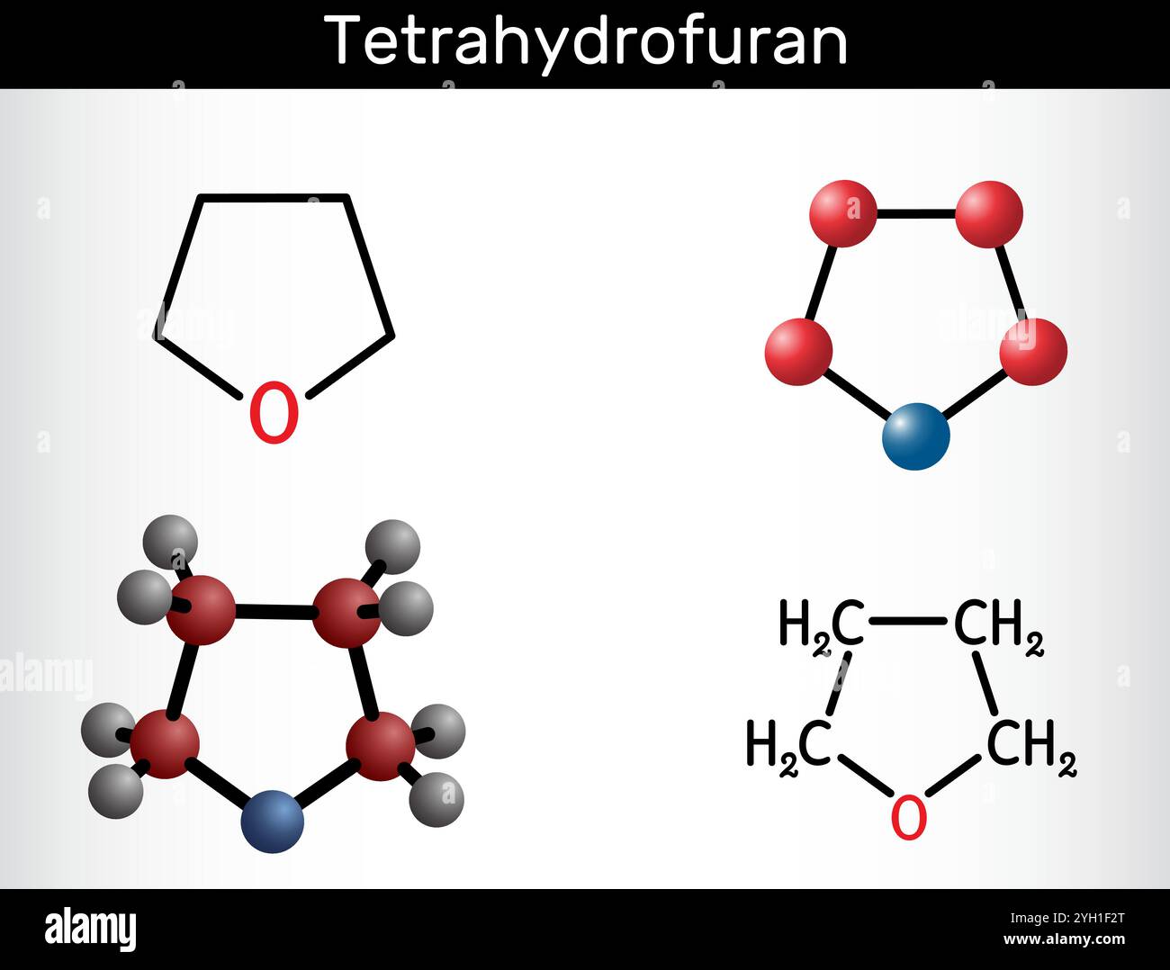 Tetrahydrofuran, THF, oxolane organic solvent molecule. Structural chemical formula, molecule ...