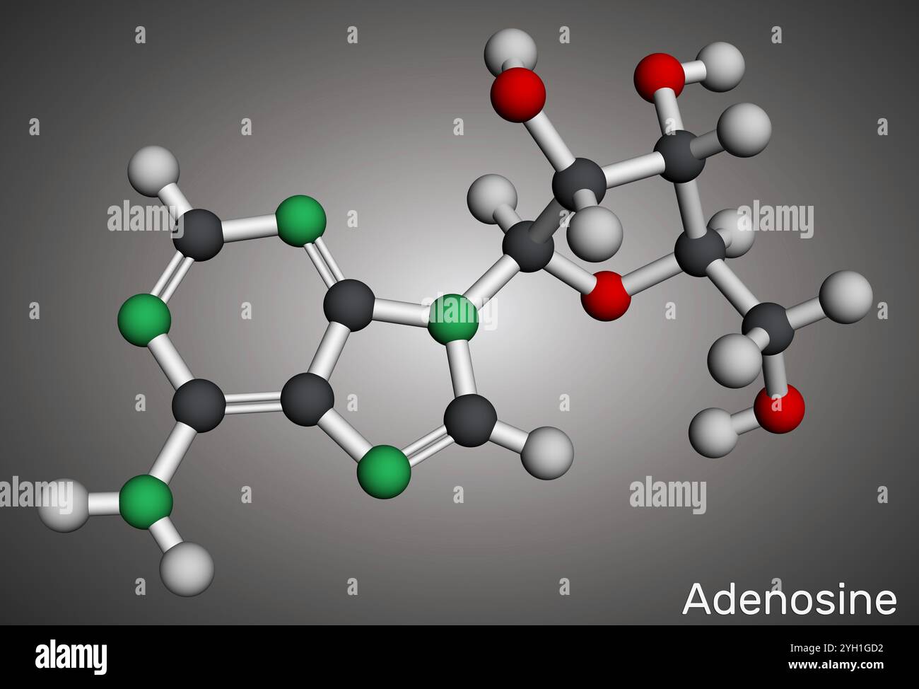 Adenosine ribonucleoside molecule. Molecular model of nucleoside. 3D rendering. Illustration ...